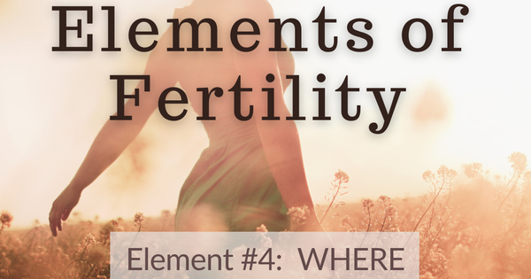 The Six Elements of Healthy Fertility - #4 WHERE | Wisdom of the Womb